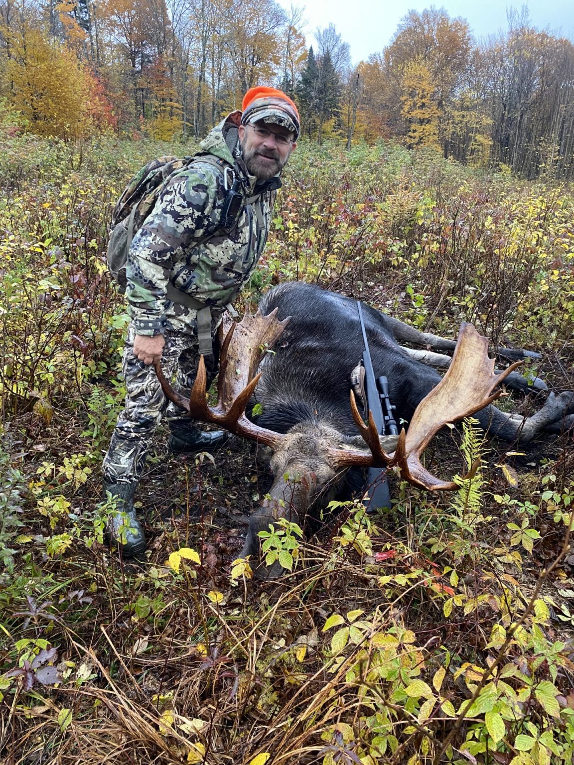 Chris Giglio Harvests Moose in VT - Congrats